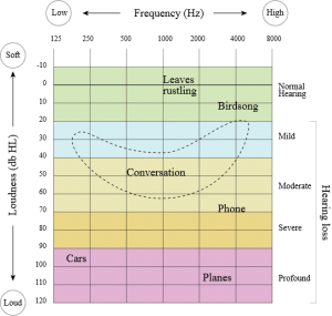 What To Expect At Your First Hearing Aid Fitting - Must Read
