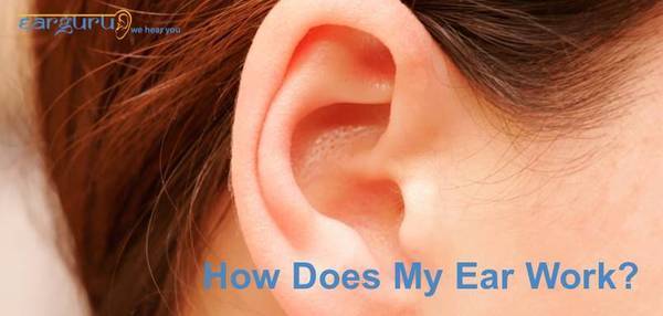 How does my Ear work? - Earguru